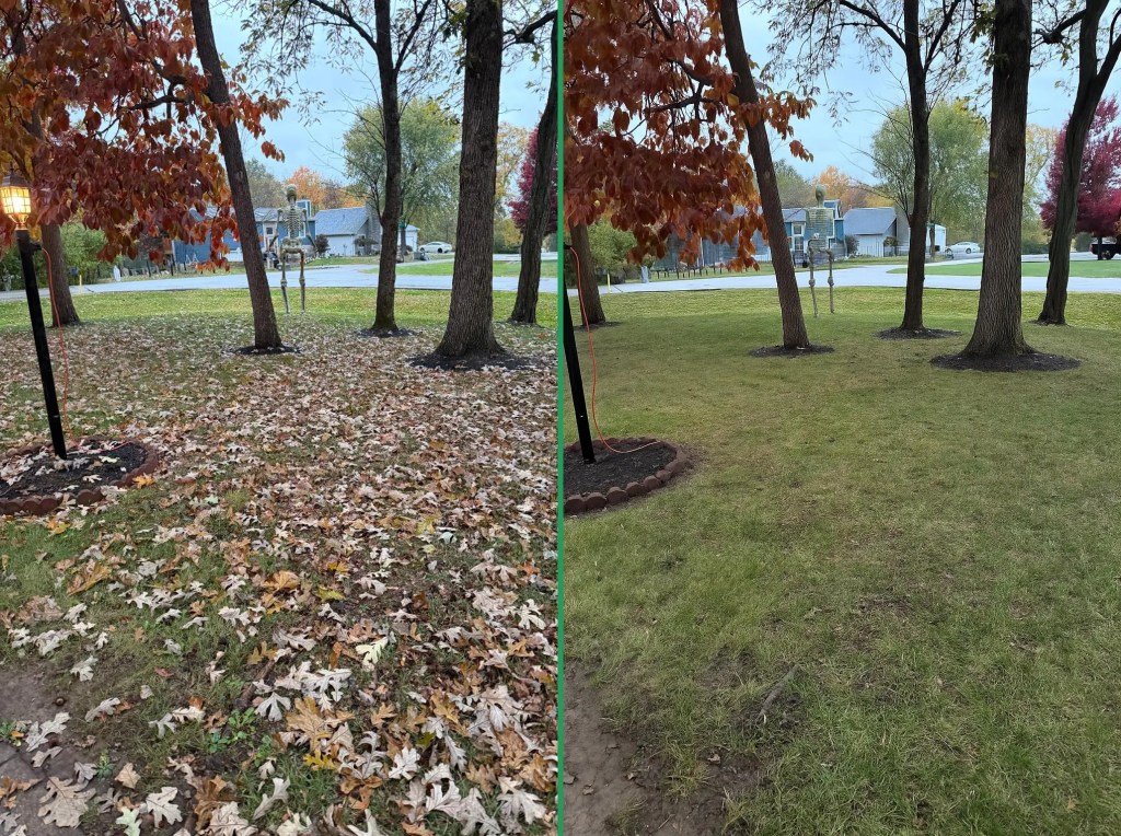 Leaf Removal Cincinnati | RDC Landscape & Lawn
